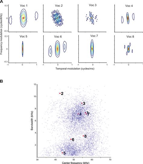figure 2 from emergence of invariant representation of vocalizations in