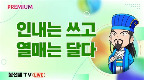 수익 극대화를 위한 매수타점과 대응 Youtube