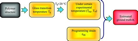 correlation between polymer structure and ground truth the programming