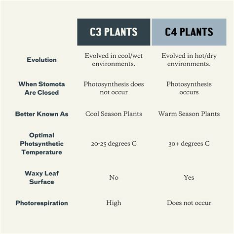 C Plants A Plant Diversity Company