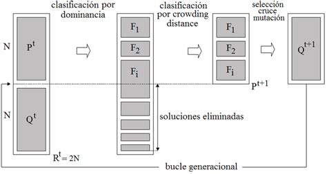 11 esquema de funcionamiento de nsgaii download scientific diagram