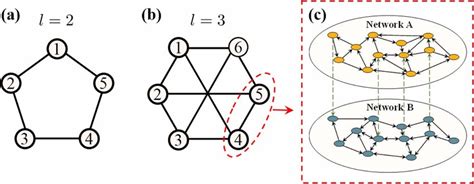 schematic of random regular networks of directed networks with a