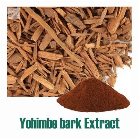 Yohimbe Bark Extract, Packaging Type: Drum, Packaging Size: 25 KG at ...