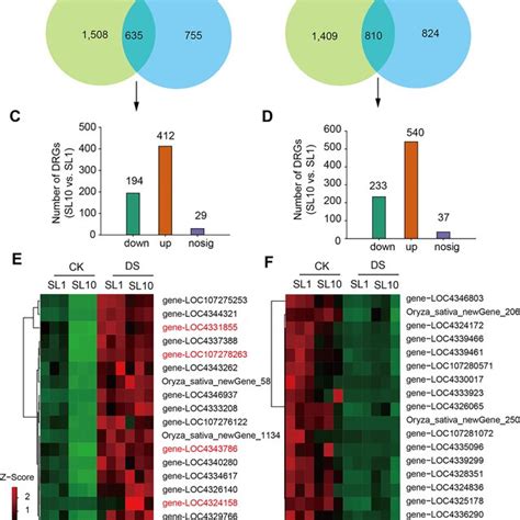 Drought Responsive Genes In Two Shanlan Upland Rice Lines A B Venn