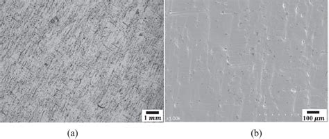 Initial Microstructure Morphology Of Nbtivzr0 5a Om B Sem Download