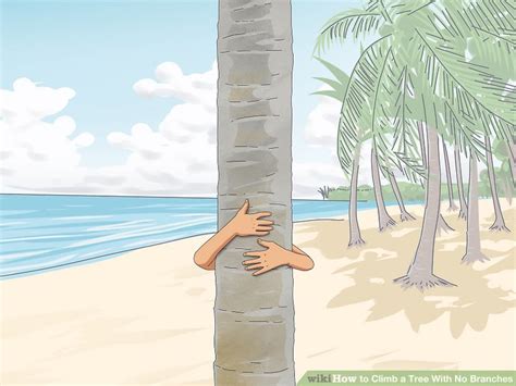 How To Climb A Tree With No Branches