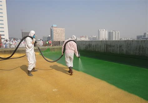 What Can Polyurea Do Eyebelle