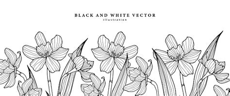 귀여운 꽃과 나뭇잎이 있는 흑백 꽃 배경 색칠하기 책 월페이퍼 엽서 프리젠테이션을 위한 배경 0명에 대한 스톡 벡터 아트 및 기타 이미지 Istock
