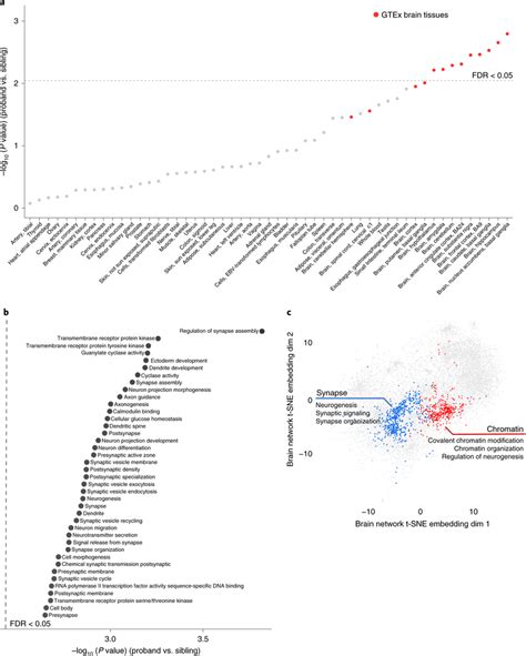 Analysis Of The Effects Of Noncoding Mutations Converges On Download Scientific Diagram