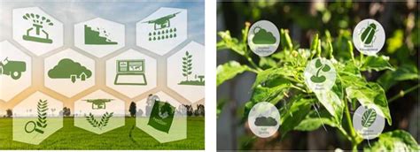 Figure 1 From An Effective Identification Of Crop Diseases Using Faster Region Based