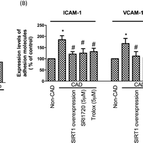 An Increase Of Monocyte Adhesion To Endothelial Cells In Cad Patients Download Scientific
