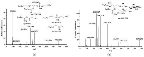 Combined Use Of Maldi Tof Mass Spectrometry And 31p Nmr 54 Off