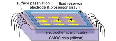 Conceptual Illustration Of A Cmos Circuit With On Chip Electrode Array