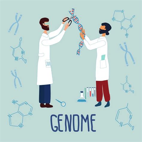 Scientists Illustrated How CRISPR CAS9 Works Gene Editing Tool