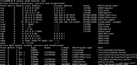 Linux系统使用（非常详细）从零基础入门到精通，看完这一篇就够了linux系统怎么用 Csdn博客