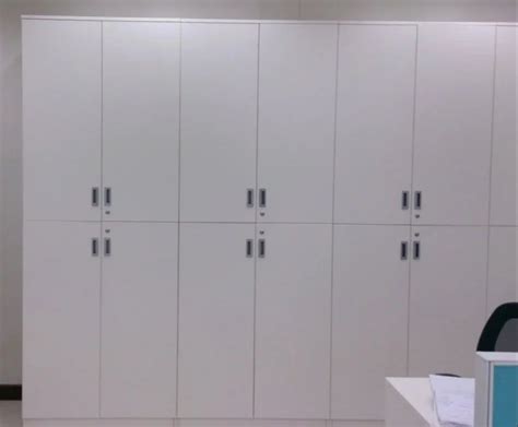 Modular Storage Cabinets At Rs 10600 Storage Cabinets In New Delhi Id 2851112243488