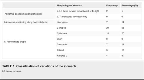 Table 1 From A Study Of Variations Of The Stomach In Adults And Growth