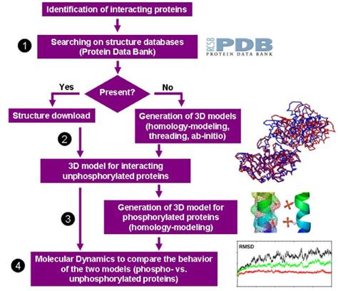 Routine Pipe Line For Structural Bioinformatics Analysis Of Protein Download Scientific Diagram