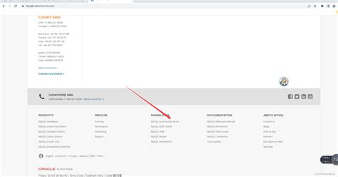 Windows版本 Logstash把mysql单表导入数据到elasticsearch处理相关date类型字段数据logstash