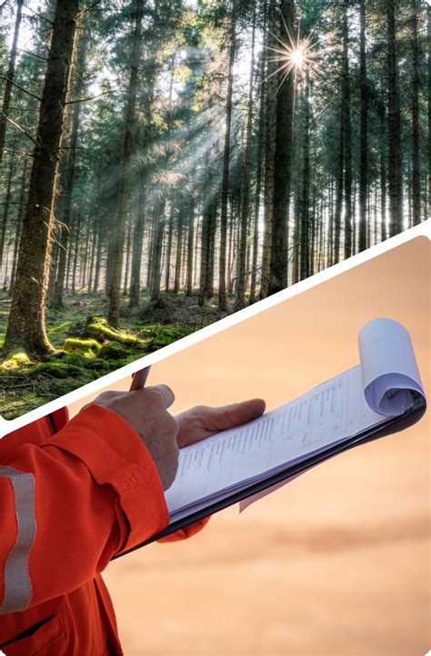 Root Protection Areas Services Indigo Surveys