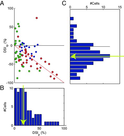 Relationship Between Directional Tuning For Phi And Reverse Phi Stimuli
