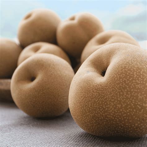 Nashi Get To Know The Pears That Japanese People Love