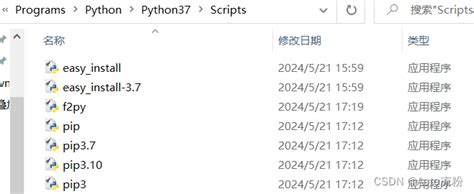 Vscode Pip 无法将“pip”项识别为 Cmdlet、函数、脚本文件或可运行程序的名称。请检查名称的拼写，如果包括路径，请确保路径
