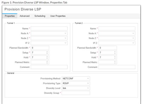 Provision Diverse Lsp On North Star Controller Vmx