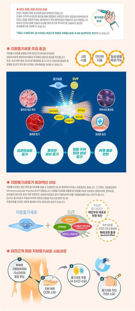 줄기세포로 어깨통증 유발하는 회전근개 파열 개선