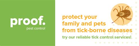 Lice Vs Ticks Differences You Need To Know Pest Control