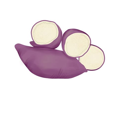 Sweet Potato Illustration On Png Transparant 34706395 Png