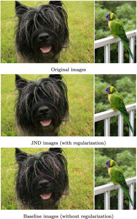 Adversarial Images Generated From Imagenet Dataset First Row Samples