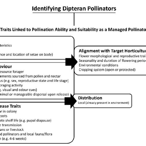 A Proposed Framework Outlining Relevant Species Specific Trait