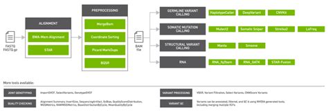 Gpu Accelerated Tools Added To Nvidia Clara Parabricks V36 For Cancer