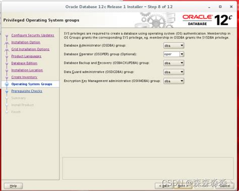 Oracle12c到19c Adg搭建（二）oracle12c数据库软件安装oracle 12c Adg Csdn博客