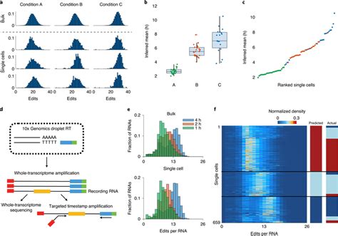 Timestamps Can Reveal Transcriptional Programs In Single Cells All