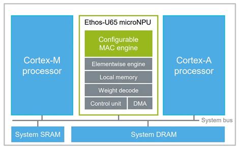 Arm Micronpu Comes To Application Processors Ee Times