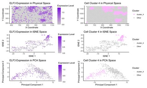 rediscovering the same epithelial cell type in spatial transcriptomics