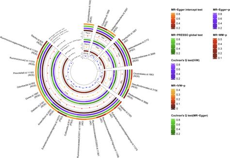 The Associations Between Gut Microbiota And Inflammatory Skin Diseases