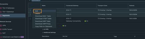 NSX T Layer Bridging VDives