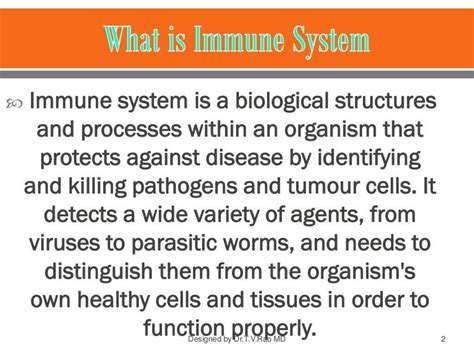 SOLUTION Immune System Structure And Functions Easy Notes Studypool