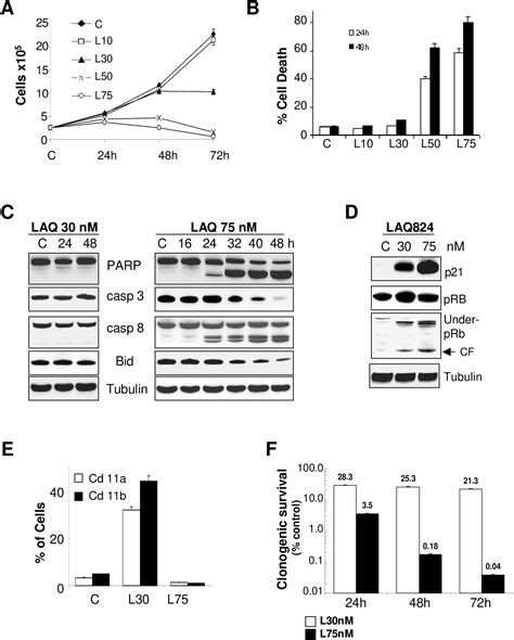Figure 3 From And Acid Sphingomyelinase Dependent Generation Of