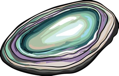 Cute Simple Abalone Clipart 52237487 Vector Art At Vecteezy