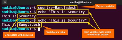 Bash Quotes