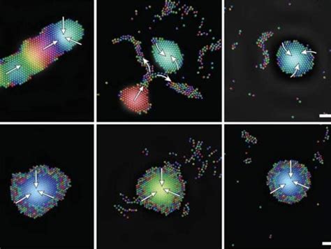 These Tiny Robots Can Swarm Adapt And Heal Themselves