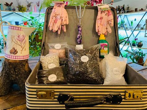 მეგობრებო ანემონეს თქვენთვის სიახლე Anemone • ანემონე Facebook