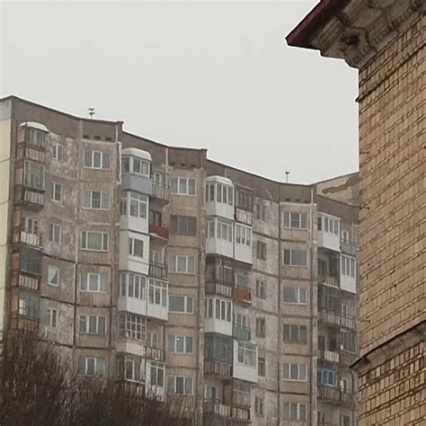 Дойти до каждого избирателя Задача участников | Говорит Мурманская область