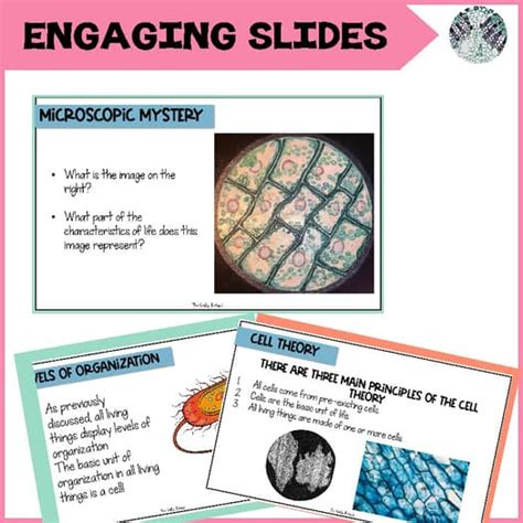 Intro To Cells Bundle Guided Notes And Presentation Cell Theory