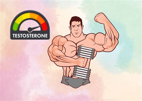 High Testosterone Face Stunning Signs