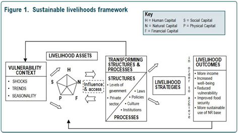 Sustainable Livelihood Framework Source Dfid 1999 Download